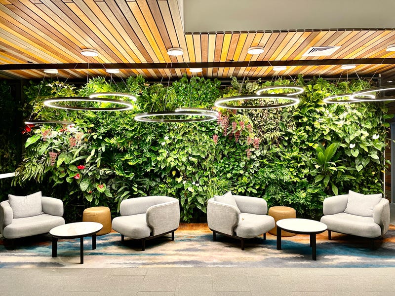 Plentiful Homes - leasing