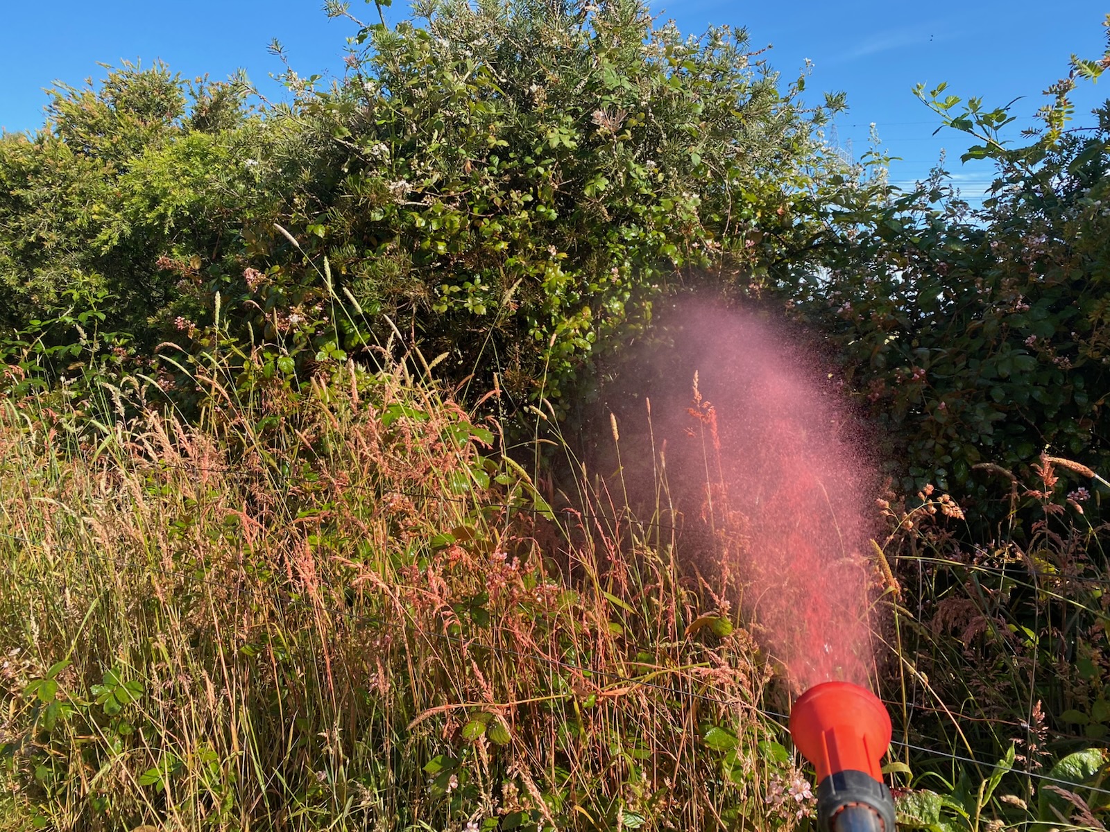 South Eastern Melbourne Weed Spraying