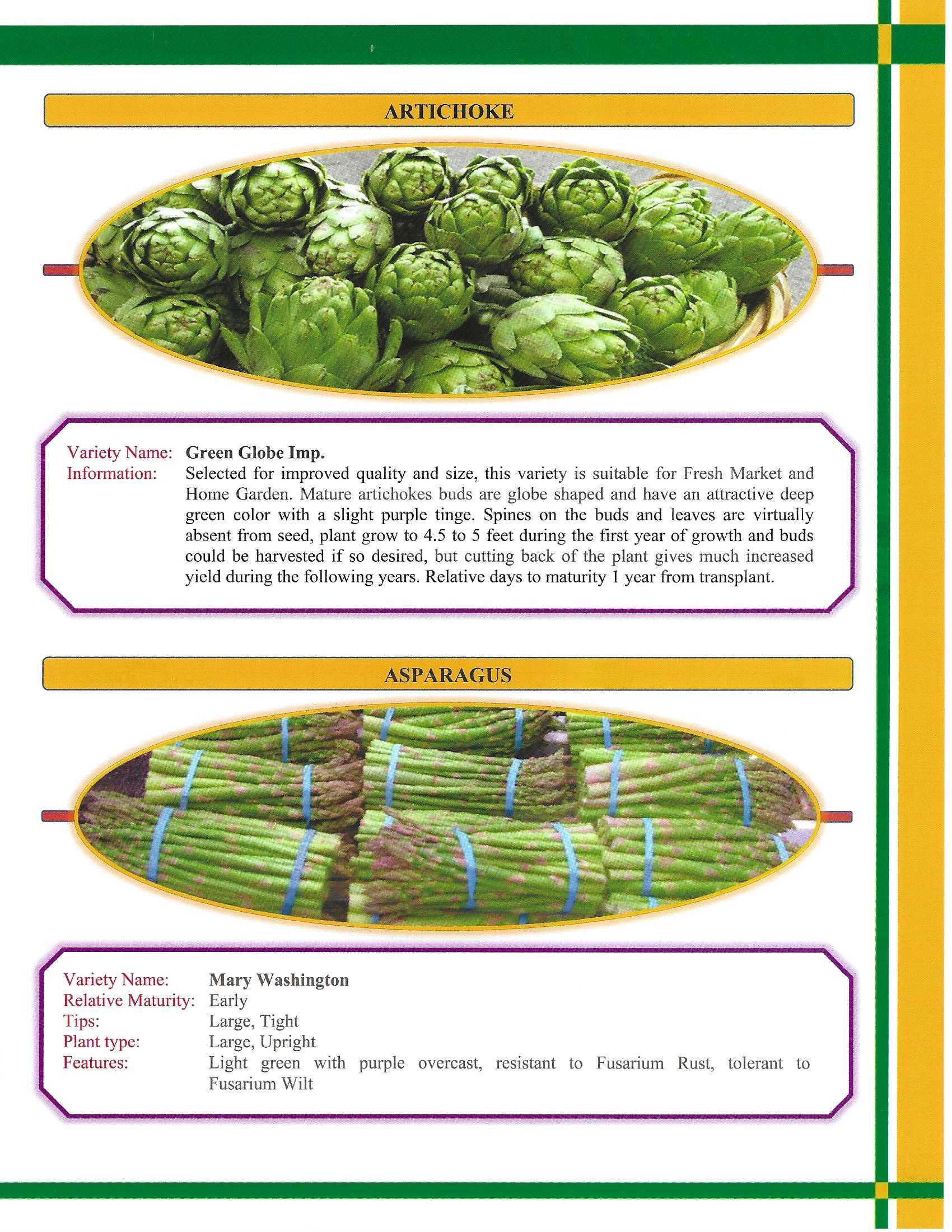 Sam Seeds Group - Catalogue
