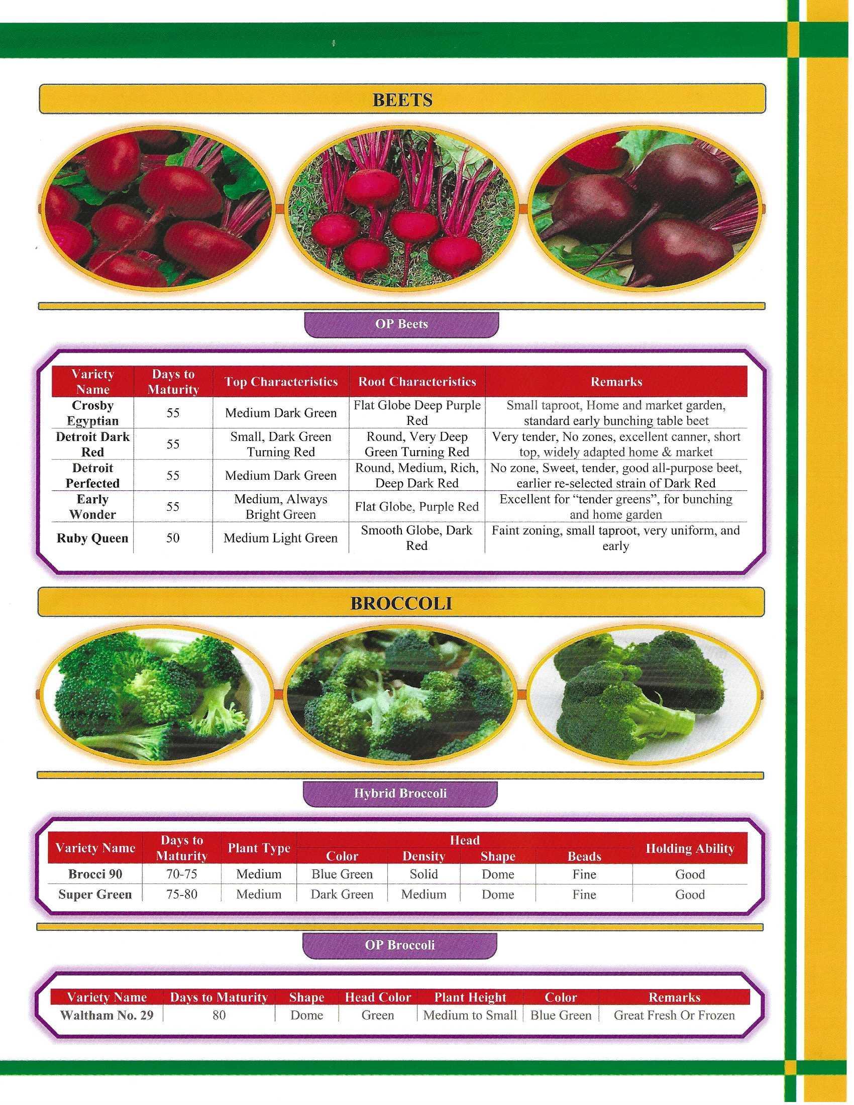 Sam Seeds Group - Catalogue