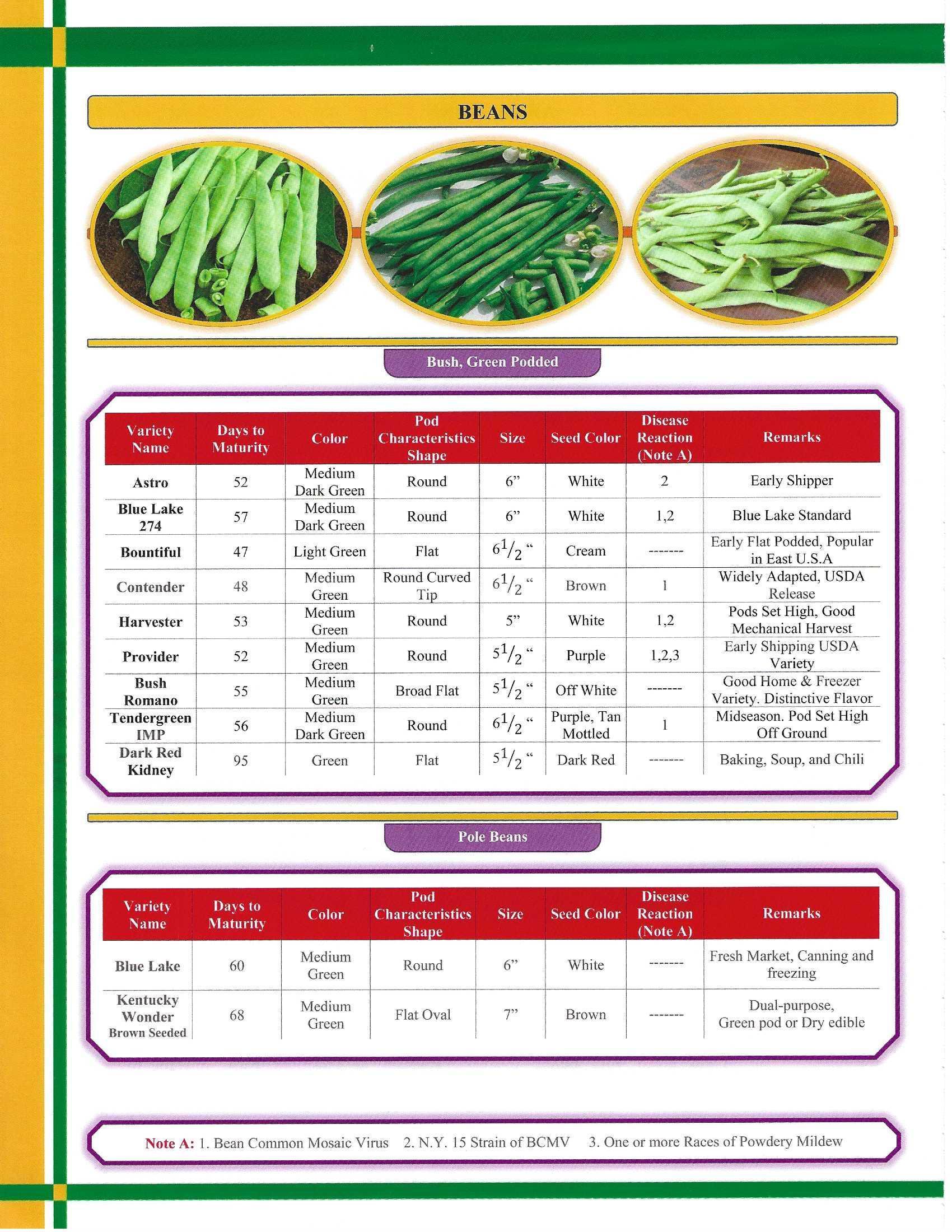 Sam Seeds Group - Catalogue