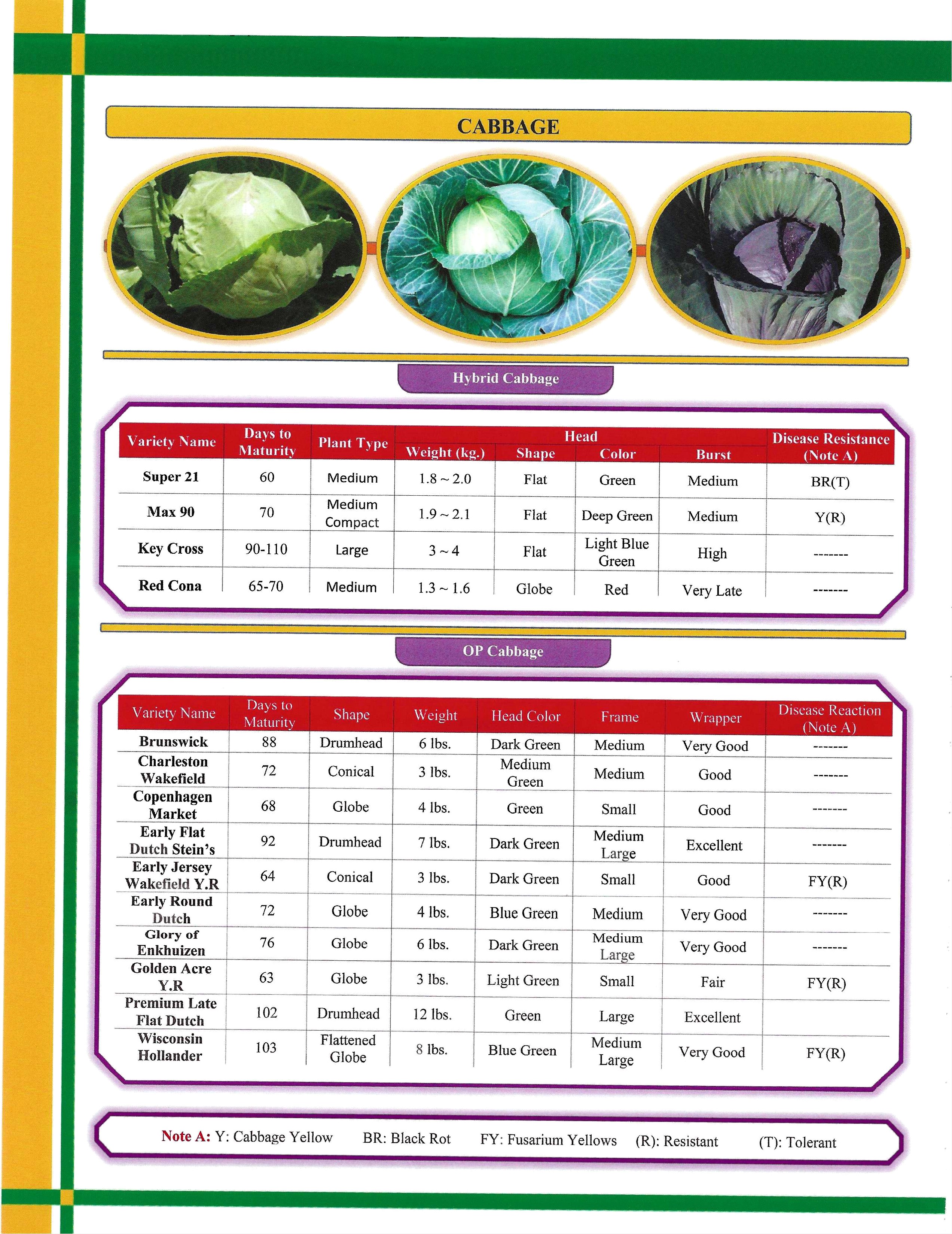 Sam Seeds Group - Catalogue