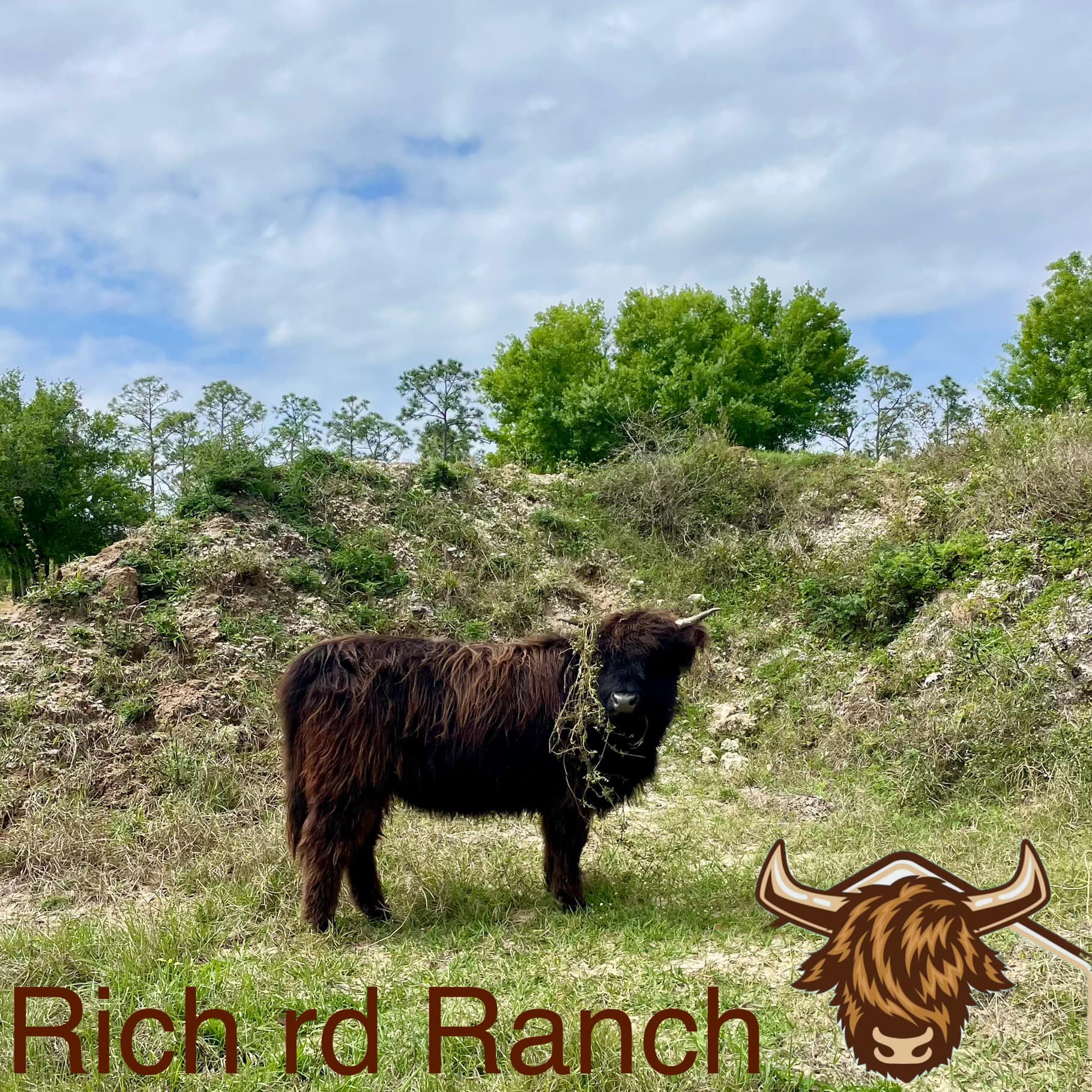 Rich rd Ranch