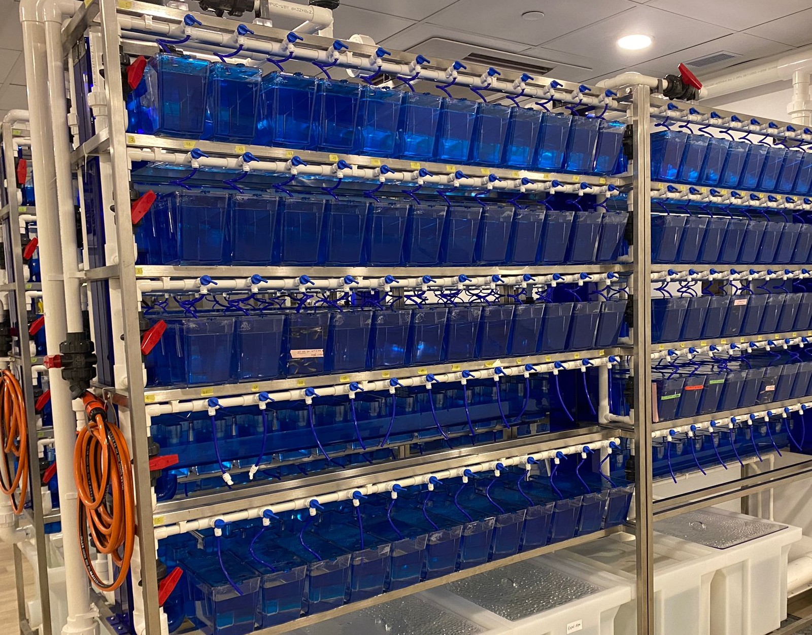 My Website - Our Services