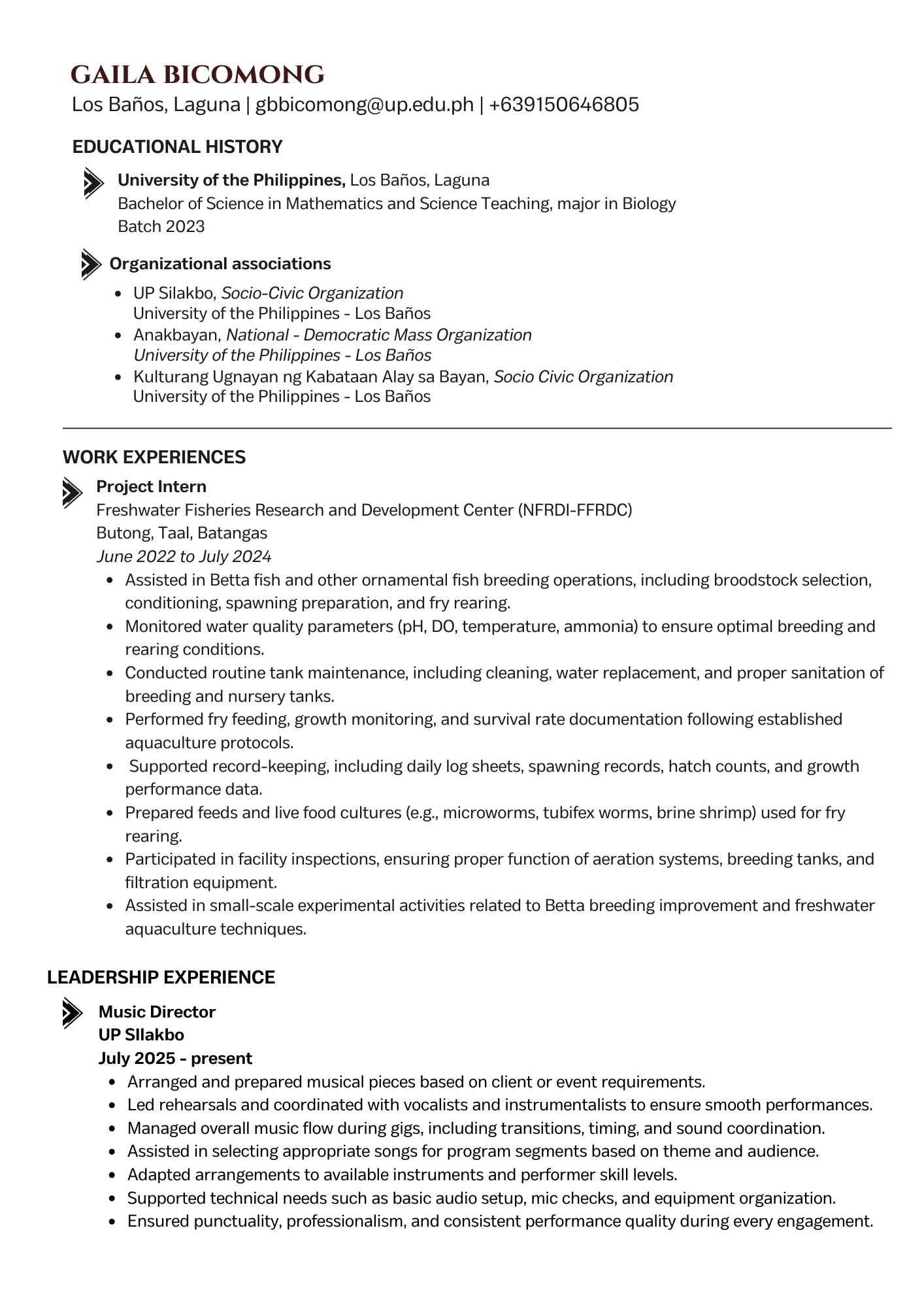 My Website - Curriculum Vitae