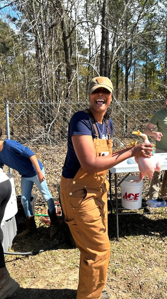 Roots & Rain - About