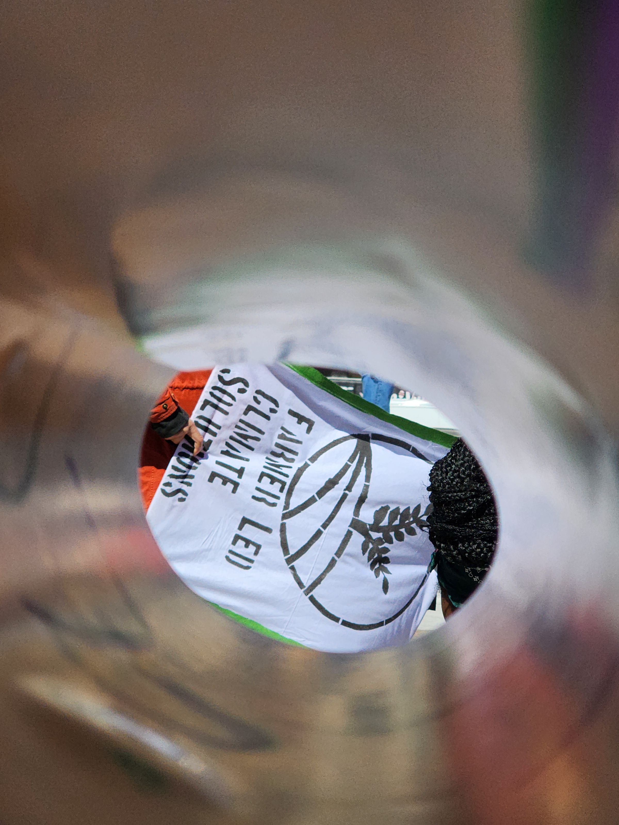 Valhalla Serenity Homestead - LGD Guardian Dogs